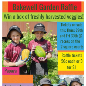 Territory Stories - Bakewell Primary School Update